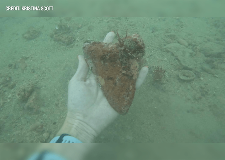 Scuba diver finds rare megalodon tooth off Florida coast