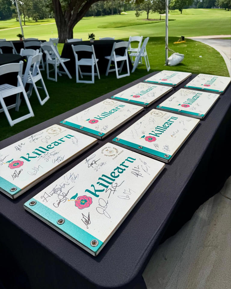 Former MLB veterans Ross, Palmer team up to win inaugural golf tourney ...