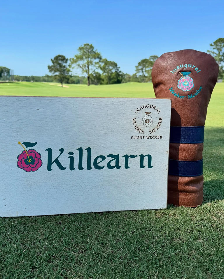 Former MLB veterans Ross, Palmer team up to win inaugural golf tourney ...