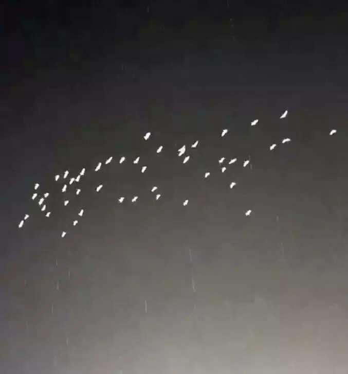 Fans turn up in white, birds offer a salute to King Kohli