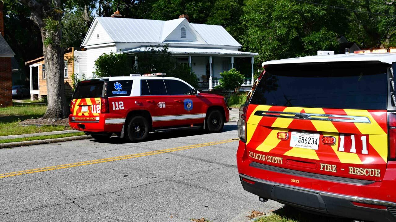 Fallen tree limb critically injures Colleton County woman