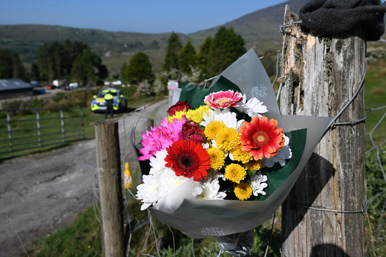Man, 50s, arrested on suspicion of murder of Kerry farmer Michael Gaine
