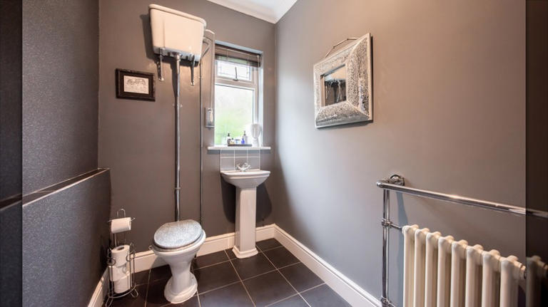 The Outdated Toilet Design That May Be Coming Back In Style