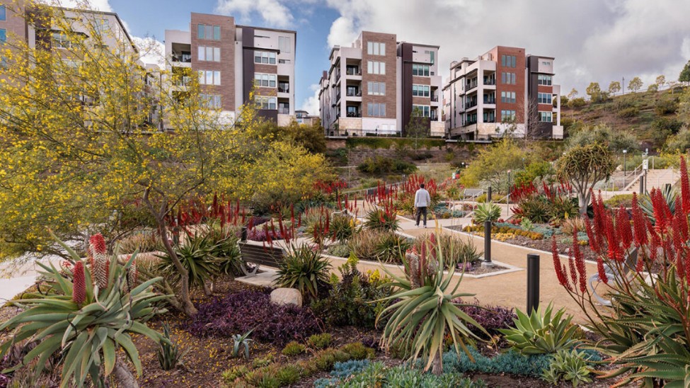 CityScape: Schmidt Design Group's 'sustainable and artful' landscapes