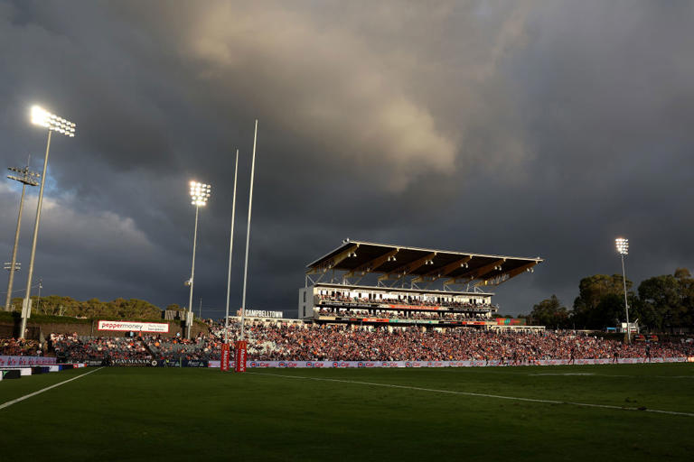 Tigers condemn fans after police allegedly assaulted