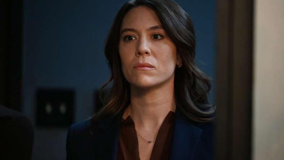 Chicago PD gives disappointing update on Voight and Chapman's relationship