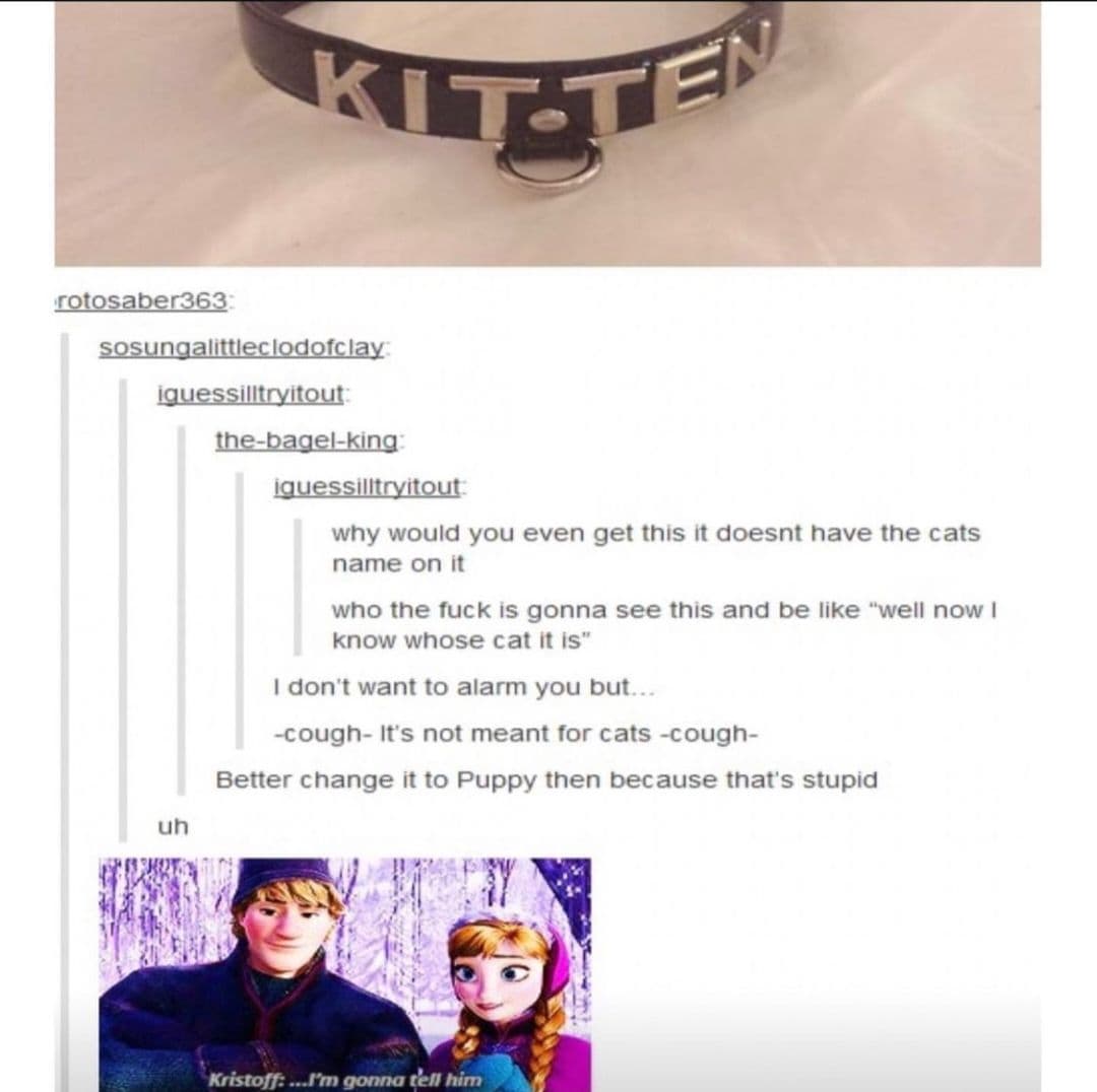 30 Delightfully Weird Tumblr Posts from the Internet’s Lovable Chaos ...