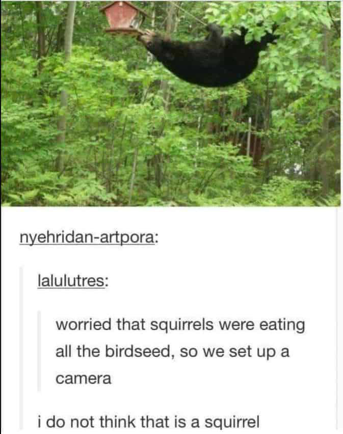 30 Delightfully Weird Tumblr Posts from the Internet’s Lovable Chaos ...