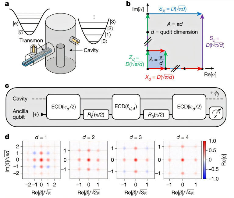 First successful demonstration of quantum error correction of qudits for quantum computers