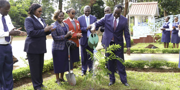 Maryhill Girls High School Fees, KCSE Performance and Key Contacts