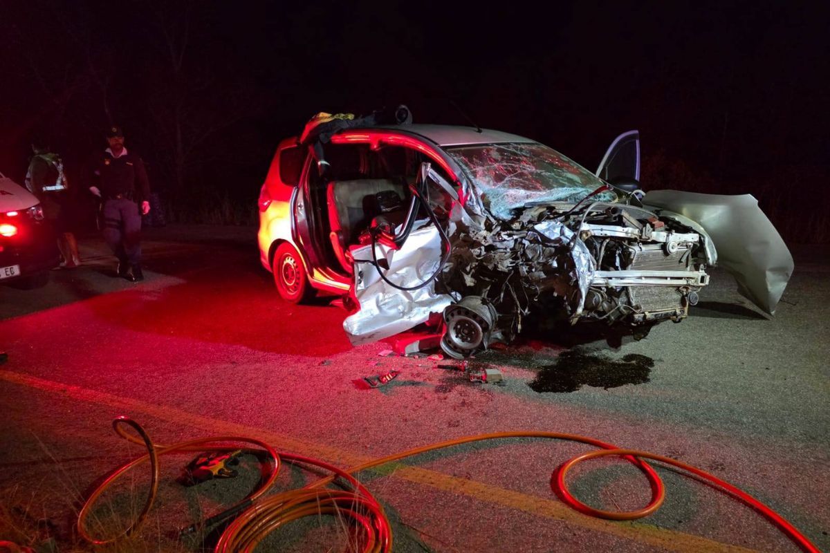 Eastern Cape R102 head-on crash claims one life, two Injured