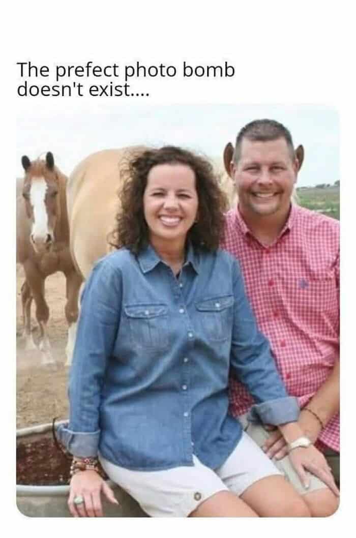 30+ "Funny Or Offensive" Memes That Walk the Tightrope Between LOL and ...