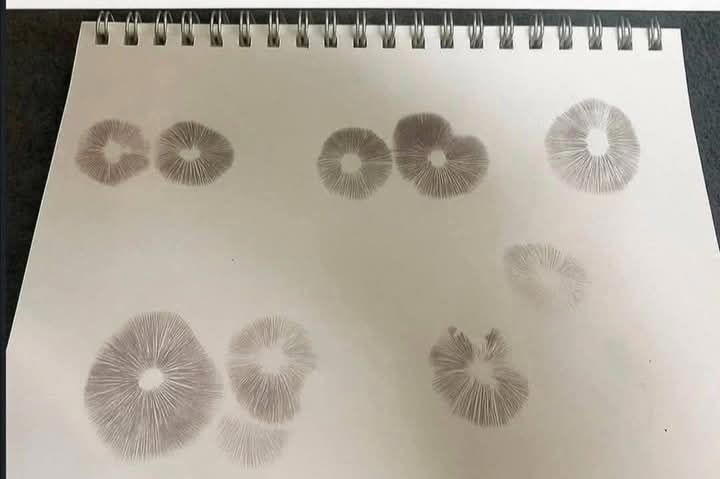 ‘Tiger King’ Joe Exotic’s husband deported to Mexico after being ...