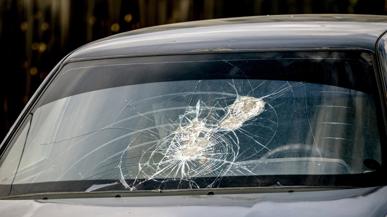 Is It Better To Fix That Small Windshield Chip Or Wait Until It Spreads?