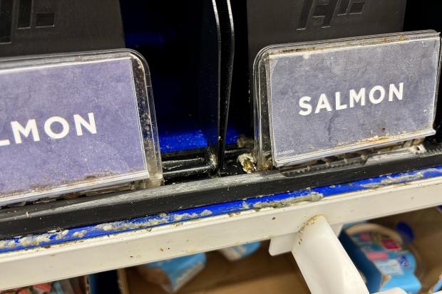 Supermarket ignored disgusting mould growing in back of fridge for ...