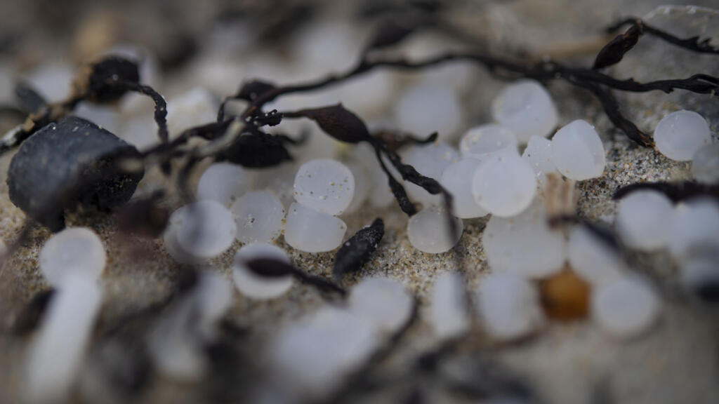 China slaps duties on plastic imports from US, EU, Taiwan and Japan ...