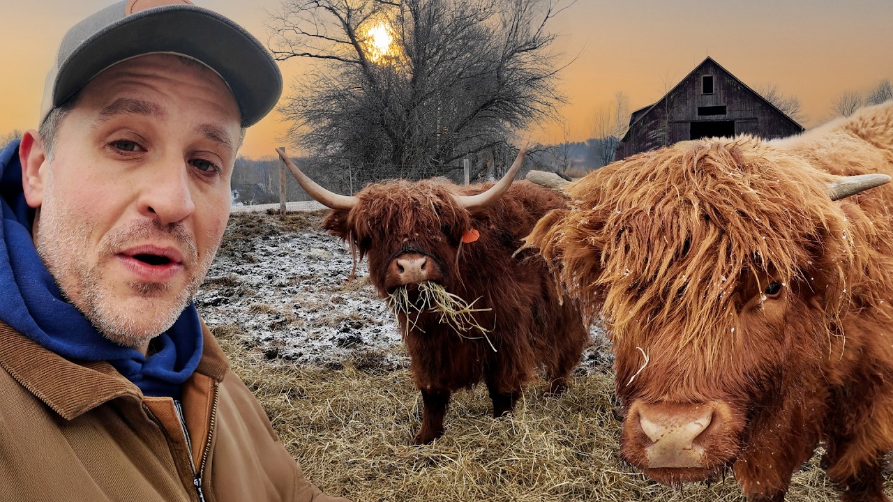 The surprising joys of life on a homestead