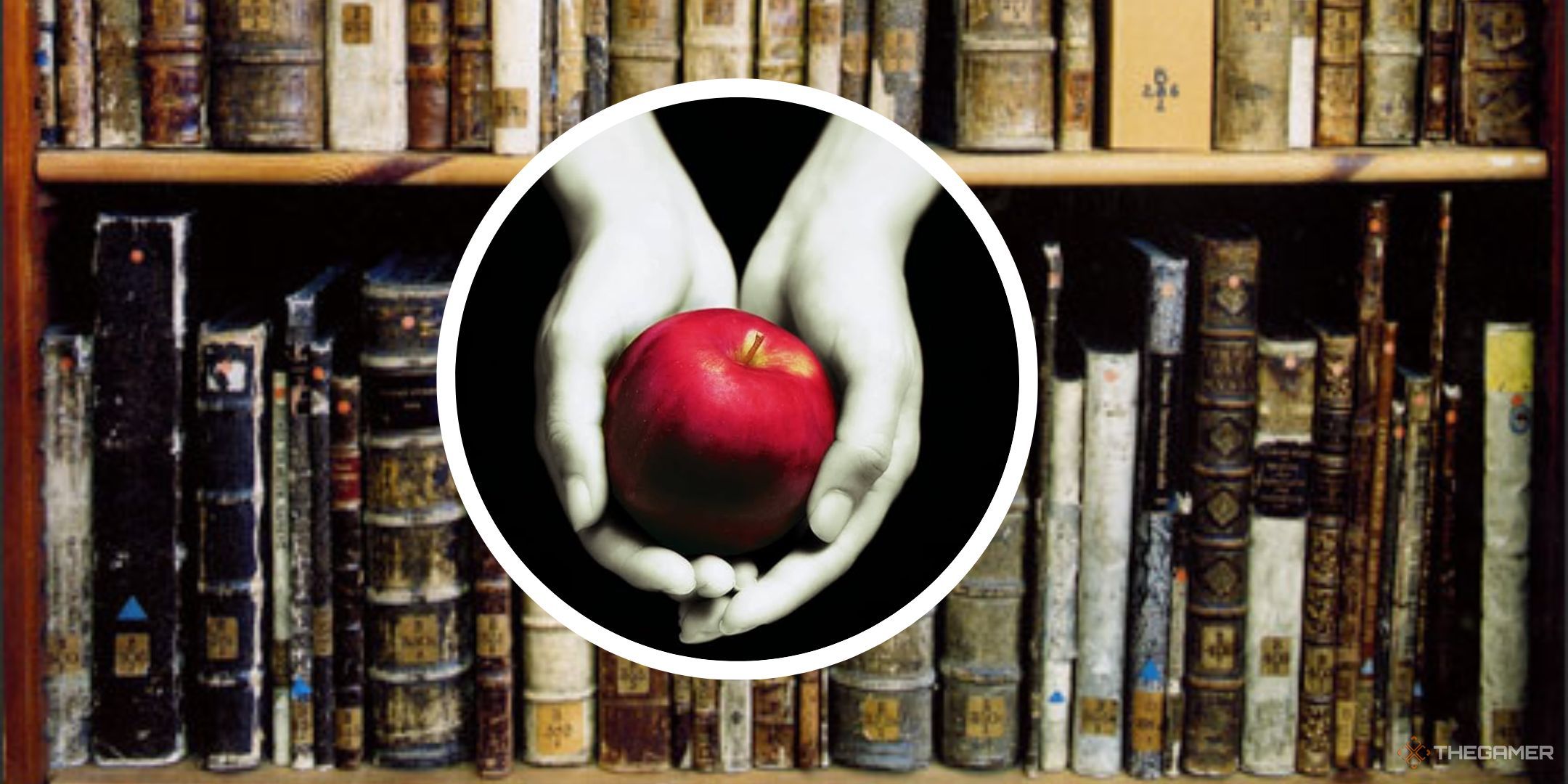 Novels That Should Be Adapted Into Anime Series