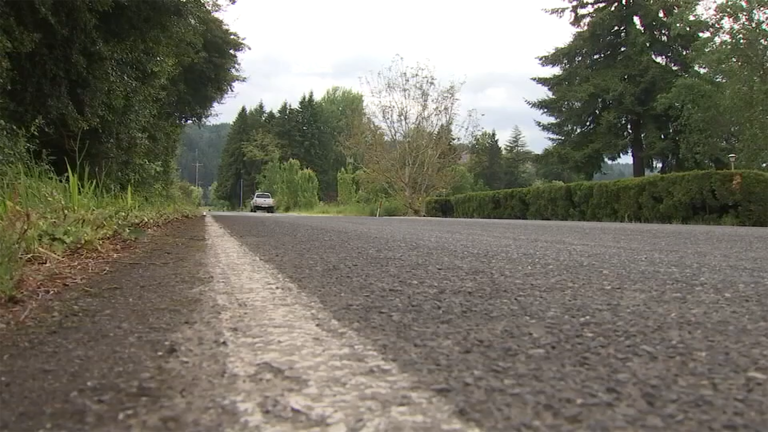 Teen faces charges after deadly UTV crash on Sauvie Island