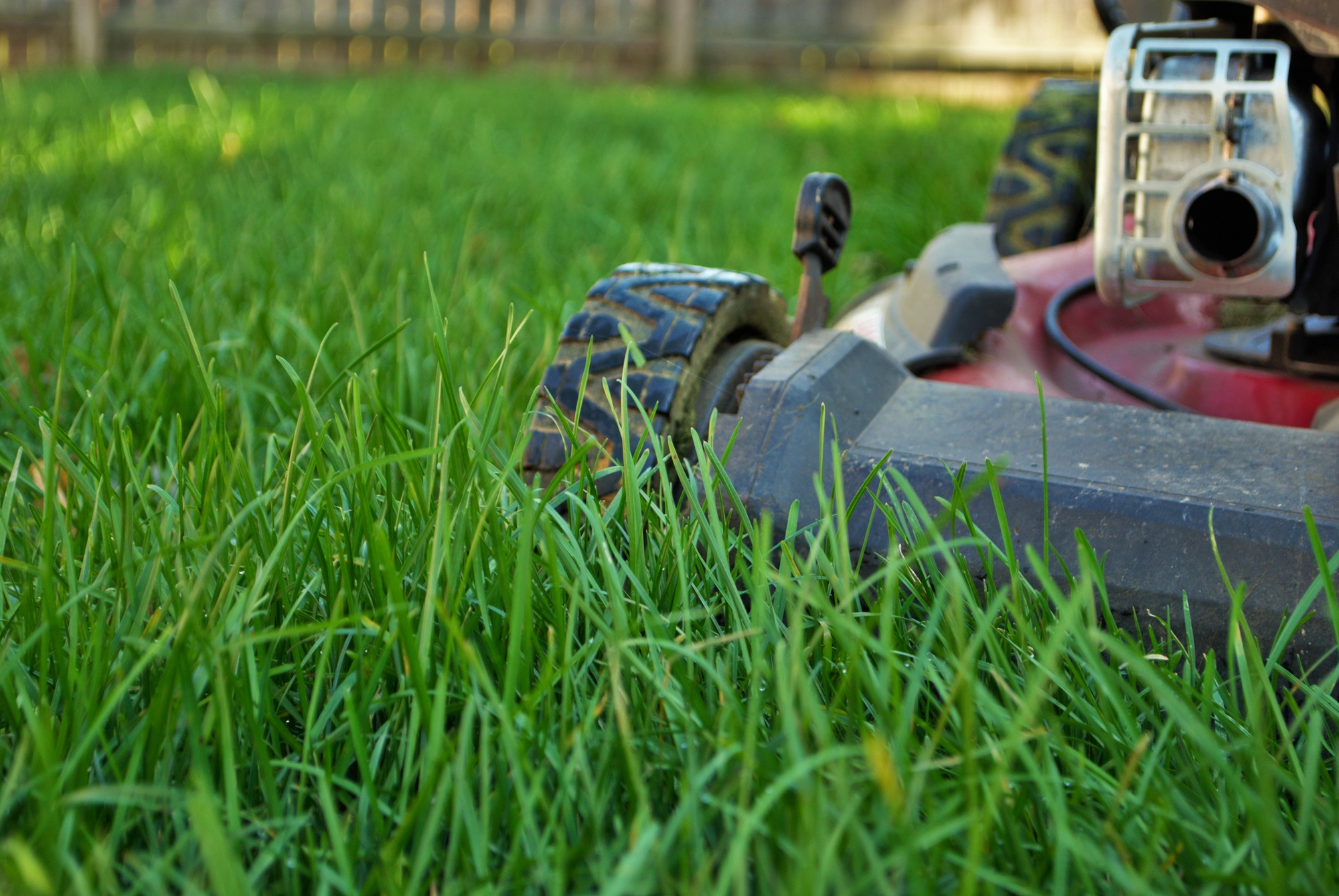 What Mowing Height Is Best For Summer Lawn Care?