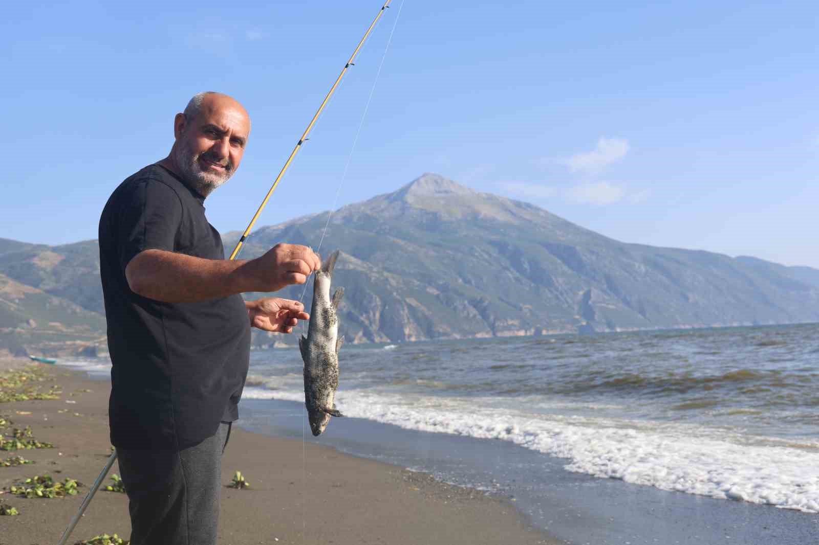 Aşırı yağışla birlikte denize sürüklenen binlerce tatlı su balığı ...