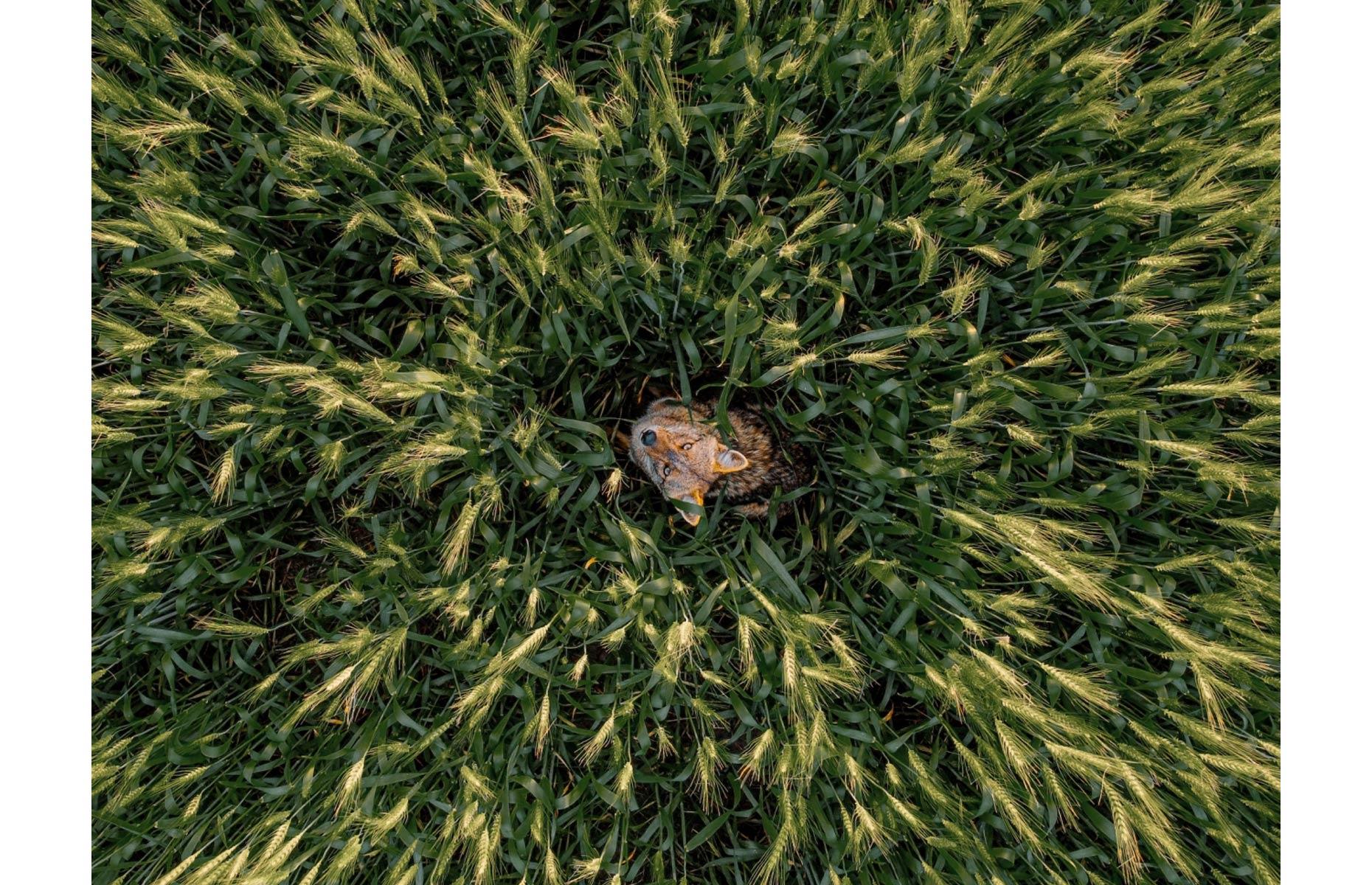 25 Luftaufnahmen, die die Schönheit unserer Erde festhalten