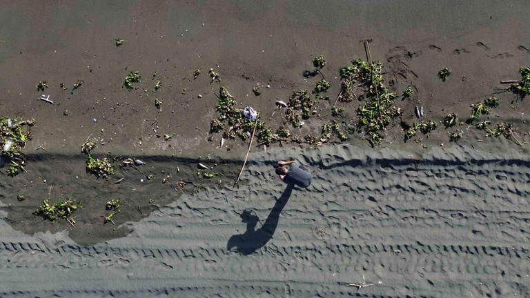 Aşırı yağışla birlikte denize sürüklenen binlerce tatlı su balığı ...