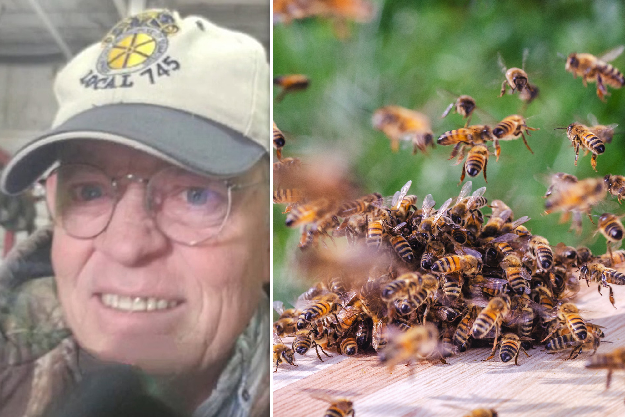 Man dies in bee attack despite frantic escape attempt that had him ...