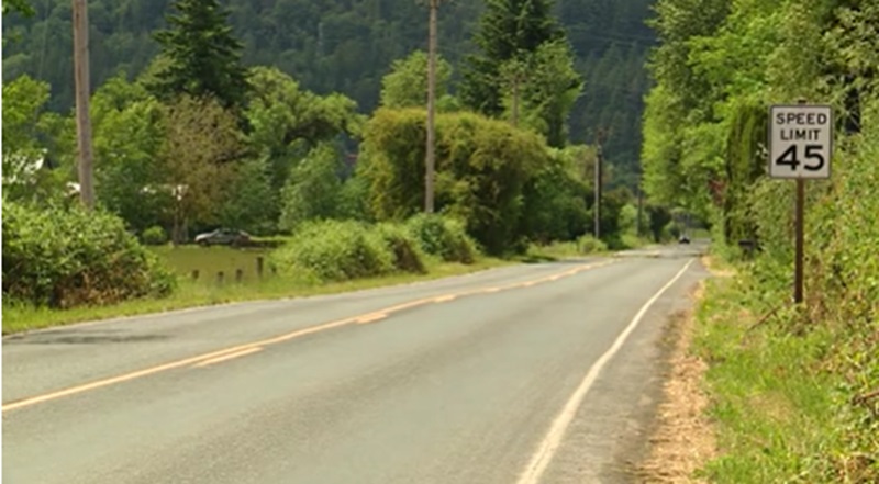 Teen arrested after Sauvie Island crash leaves one dead