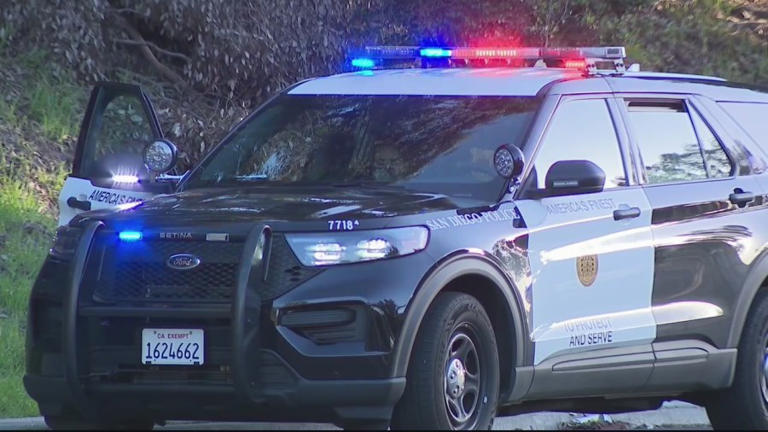 Armed robbery at Lincoln Park Subway sparks police search