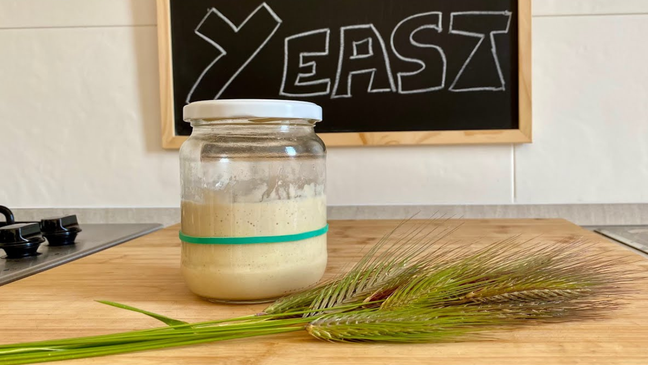 Make a Sourdough Starter in Just 48 Hours?! Fast & Easy Method from ...