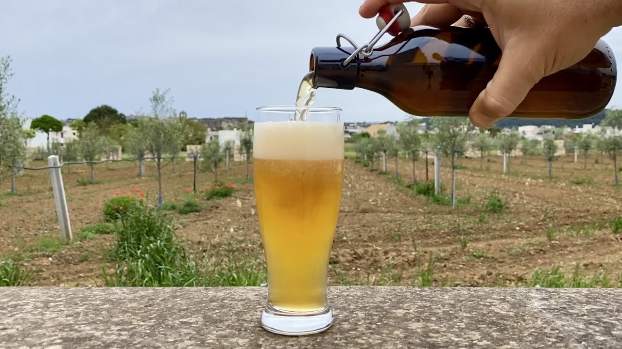 Homemade Gruit Beer?! Make Beer WITHOUT Hops Using This Ancient Method