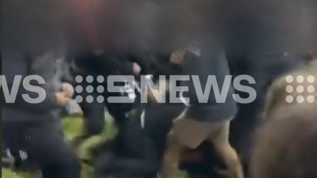 Massive brawl at Tigers-Rabbitohs NRL match caught on camera