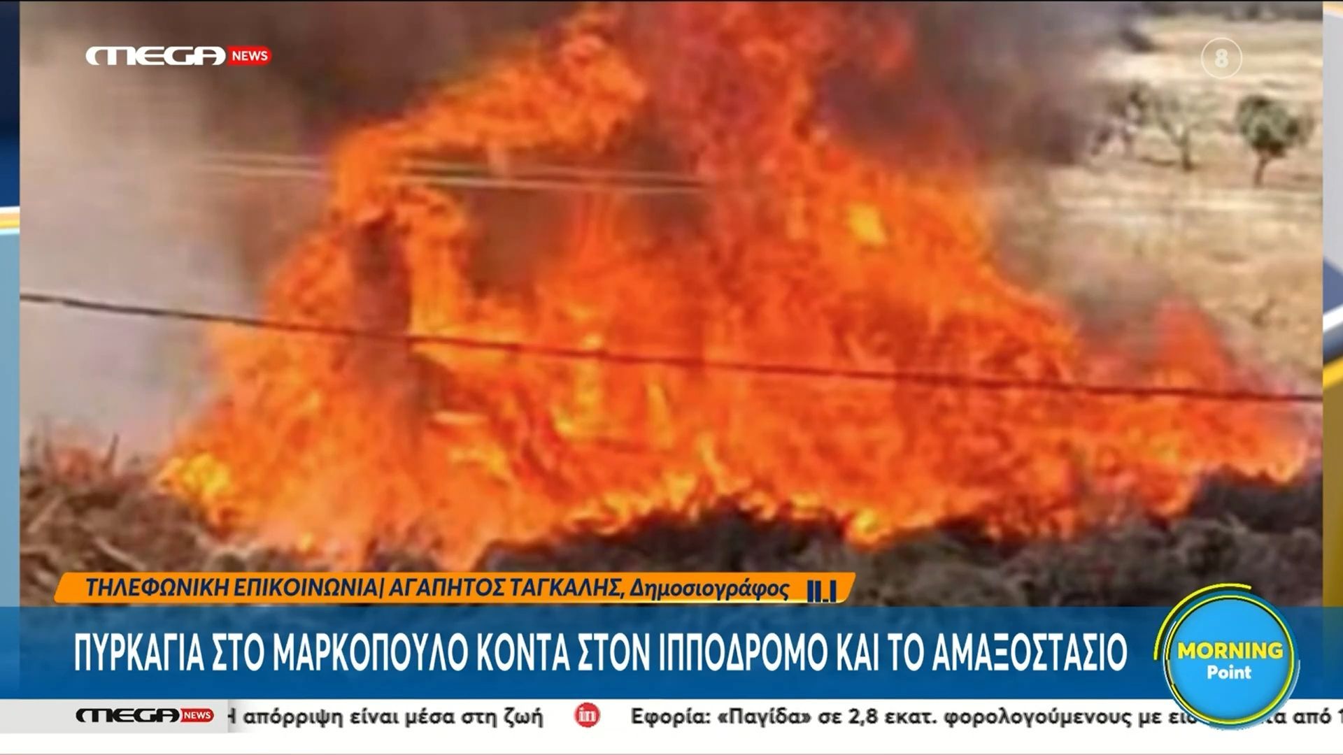 Μαρκόπουλο: Πυρκαγιά κοντά στον ιππόδρομο και το αμαξοστάσιο
