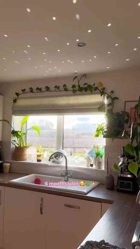 It’s Growing All the Time — Watch Nature’s Magic Unfold!