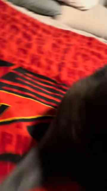 Braxton Is Loving His New Toy — Pure Joy in Every Wag!