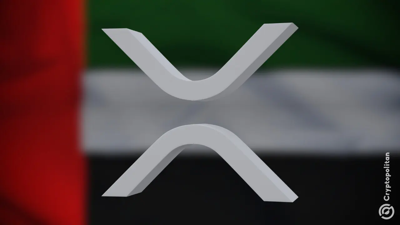 Ripple makes UAE inroads amid XRP slump and lingering SEC uncertainty