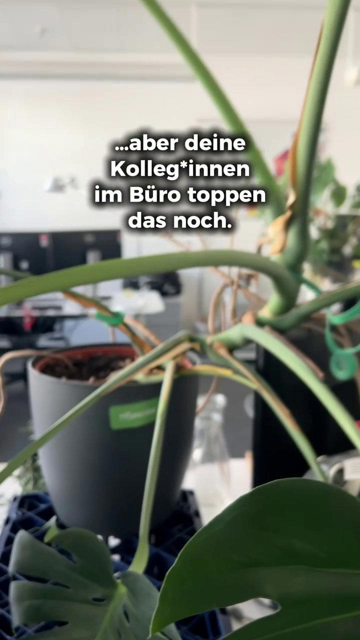 Style für jeden Raum: Warum das Deko-Tablett von Ernsting's family auf ...