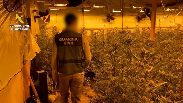 Sucesos Desmantelada Una Sofisticada Plantación De Marihuana En Una