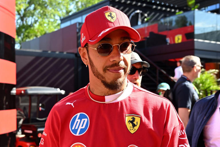 Hamilton: "Stratejiyi kusursuz uyguladık"