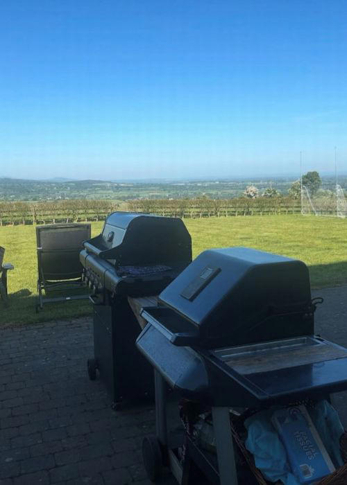 PICS: Henry Shefflin and wife Deirdre celebrate youngest son's ...