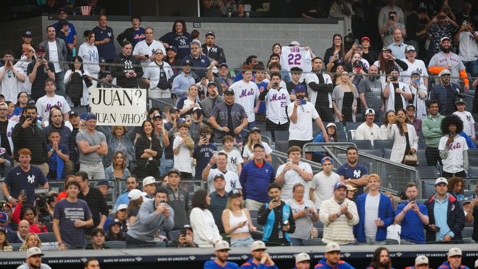 NYY News: Bleacher Creatures on Soto