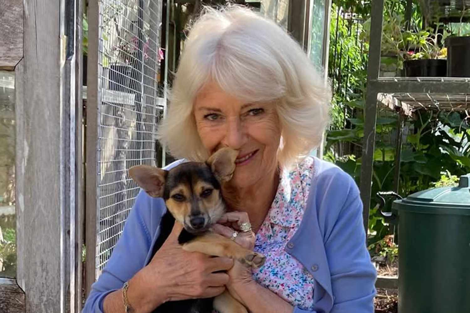 Queen Camilla Poses with Her New Rescue Dog, 'Mischievous Moley,' In ...