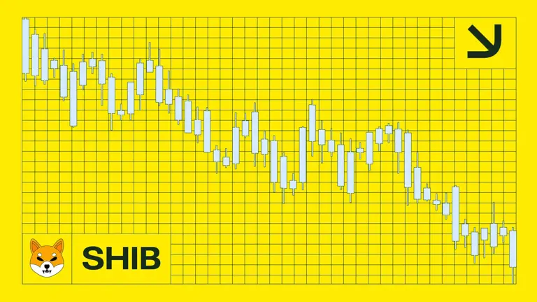 Shiba Inu (SHIB) Price Slips 20% but Bulls Eye This Critical Area for a Bounce