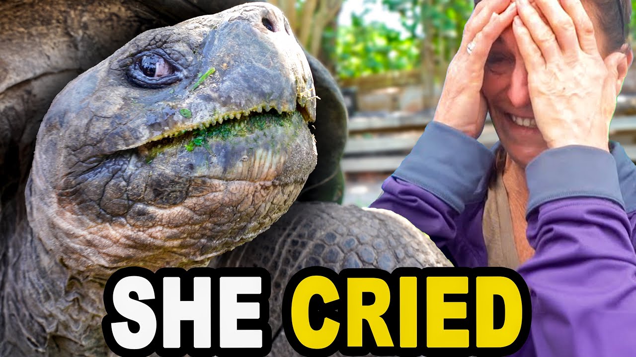 Mom Cries Meeting a Giant Tortoise for the First Time
