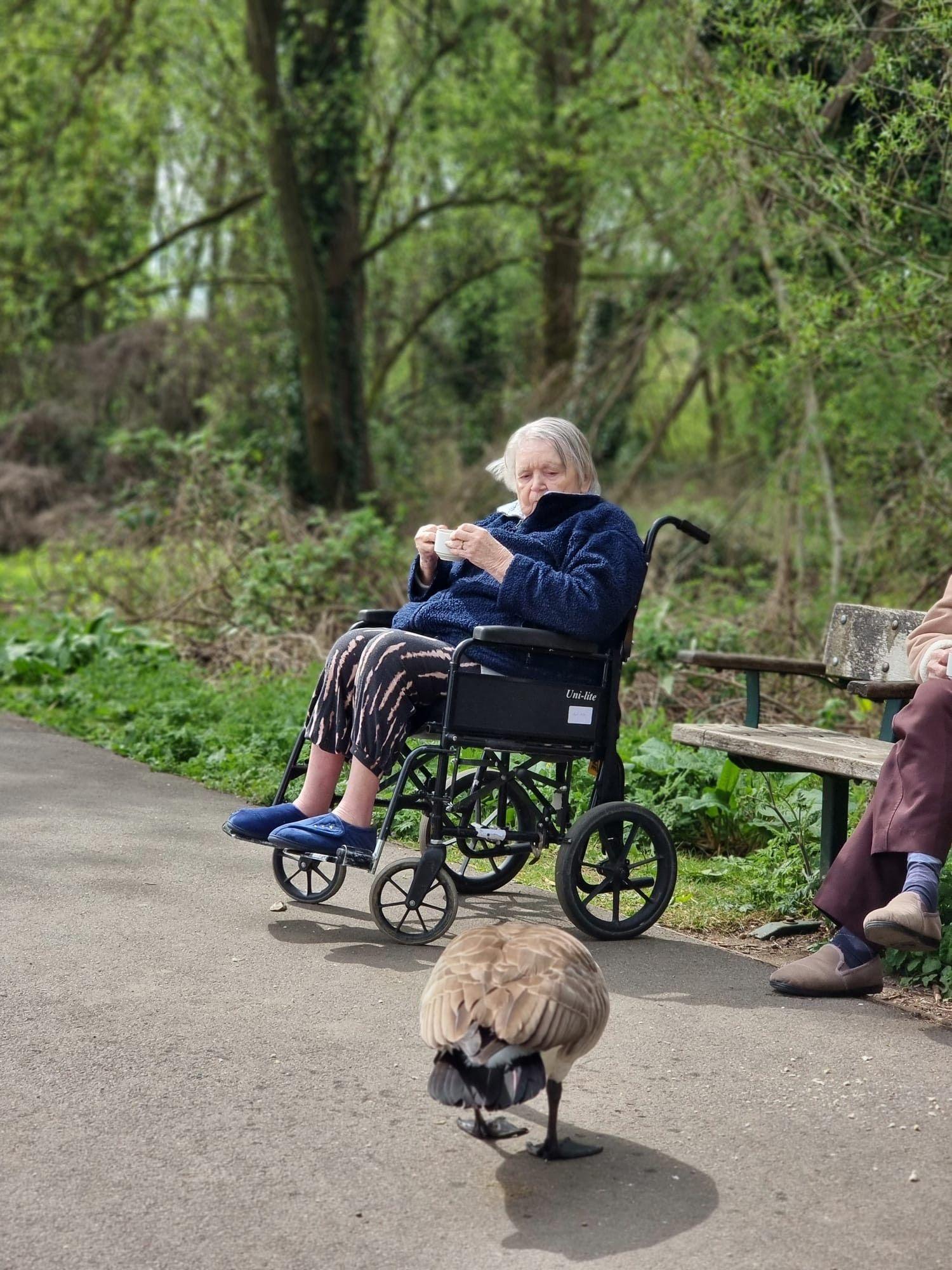 Watford care home residents embrace the joys of spring with nature ...