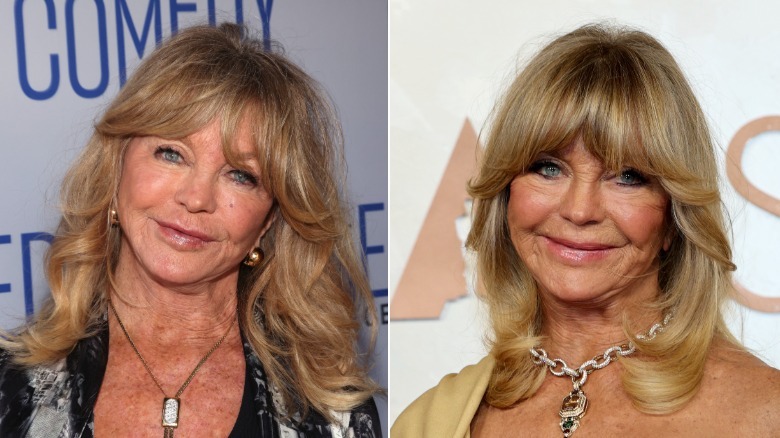 Goldie Hawn's Face Transformation Amid Rampant Plastic Surgery Rumors