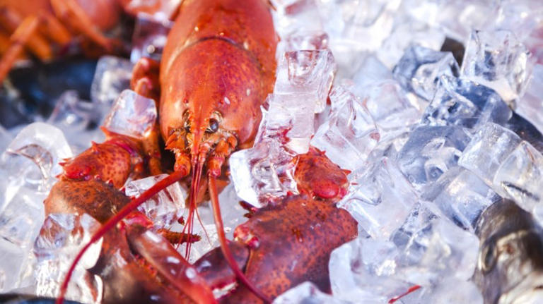 Why You Should Always Be Wary Of Ice When Traveling