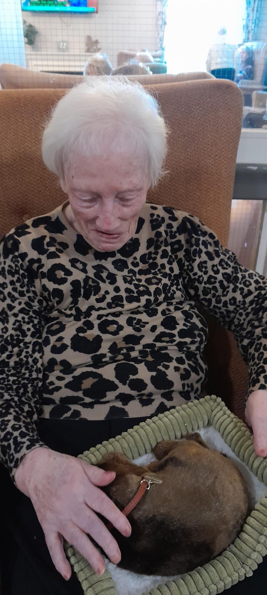 Robotic pets light up care home residents' lives