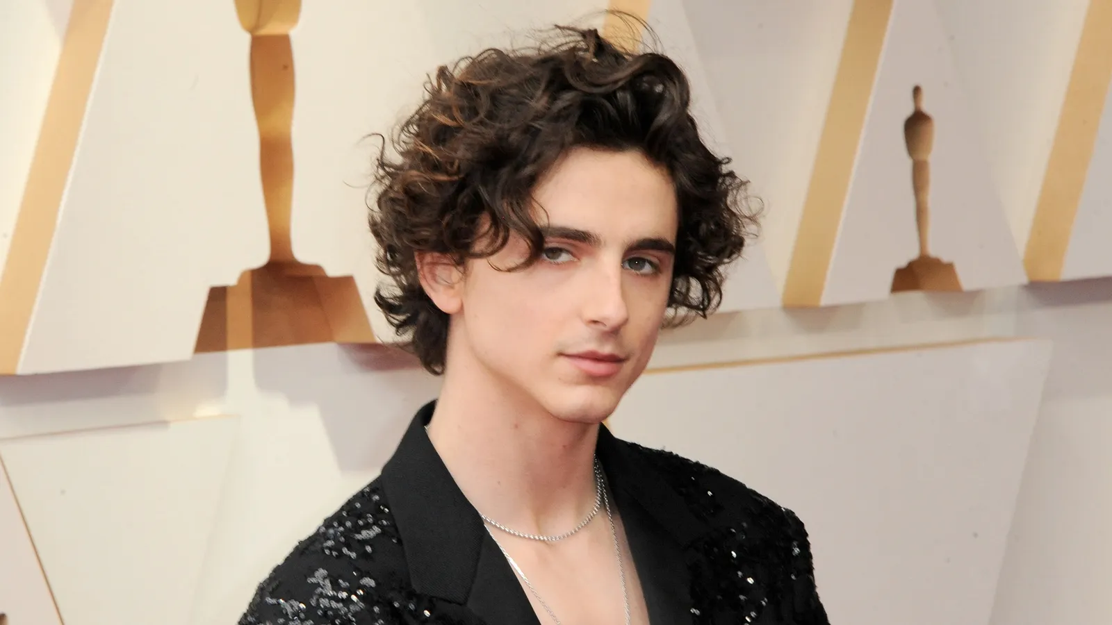 Timothée Chalamet’s Marty Supreme sparks buzz with a standout limited ...